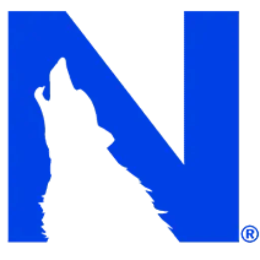 AI & IT Consultation | Nyx Wolves